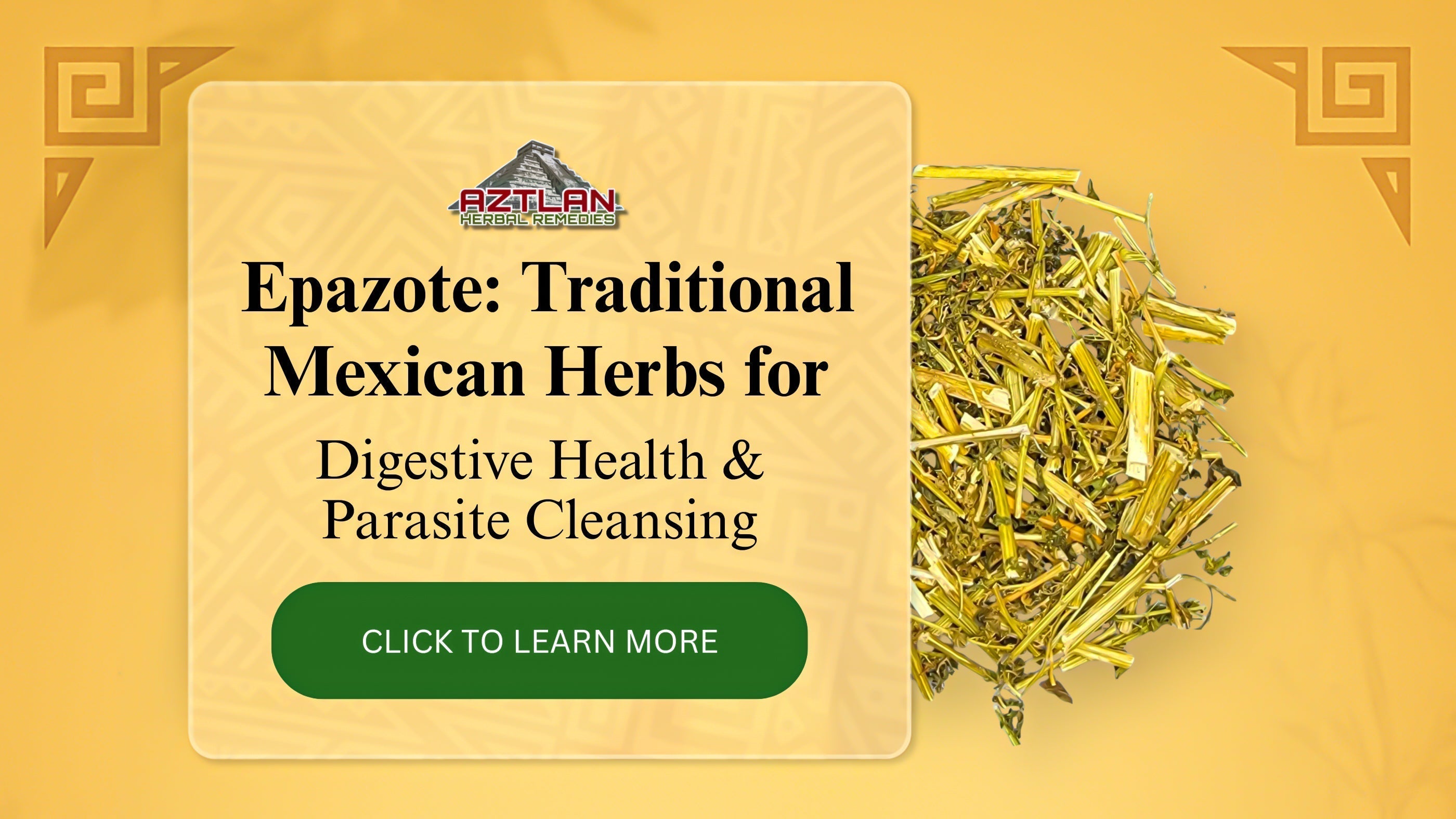 Epazote: Traditional Mexican Herb for Digestion & Parasite Cleansing ...