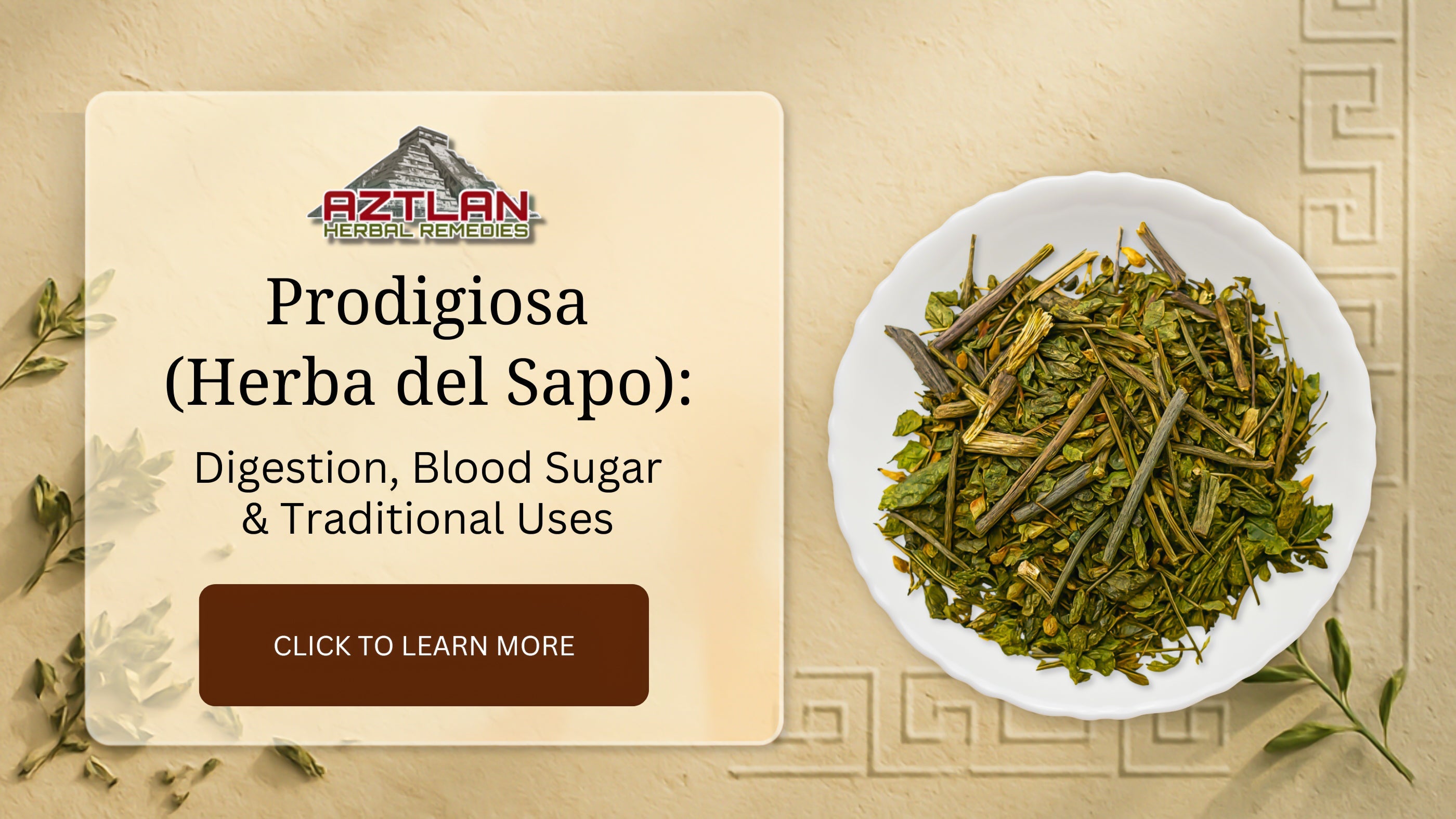 Prodigiosa (Hierba del Sapo): Digestion, Blood Sugar & Traditional Use ...