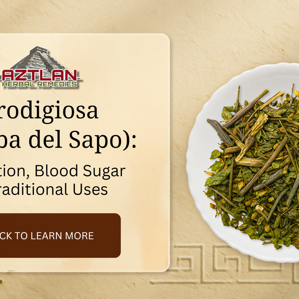 Prodigiosa (Hierba del Sapo): Digestion, Blood Sugar & Traditional Use ...