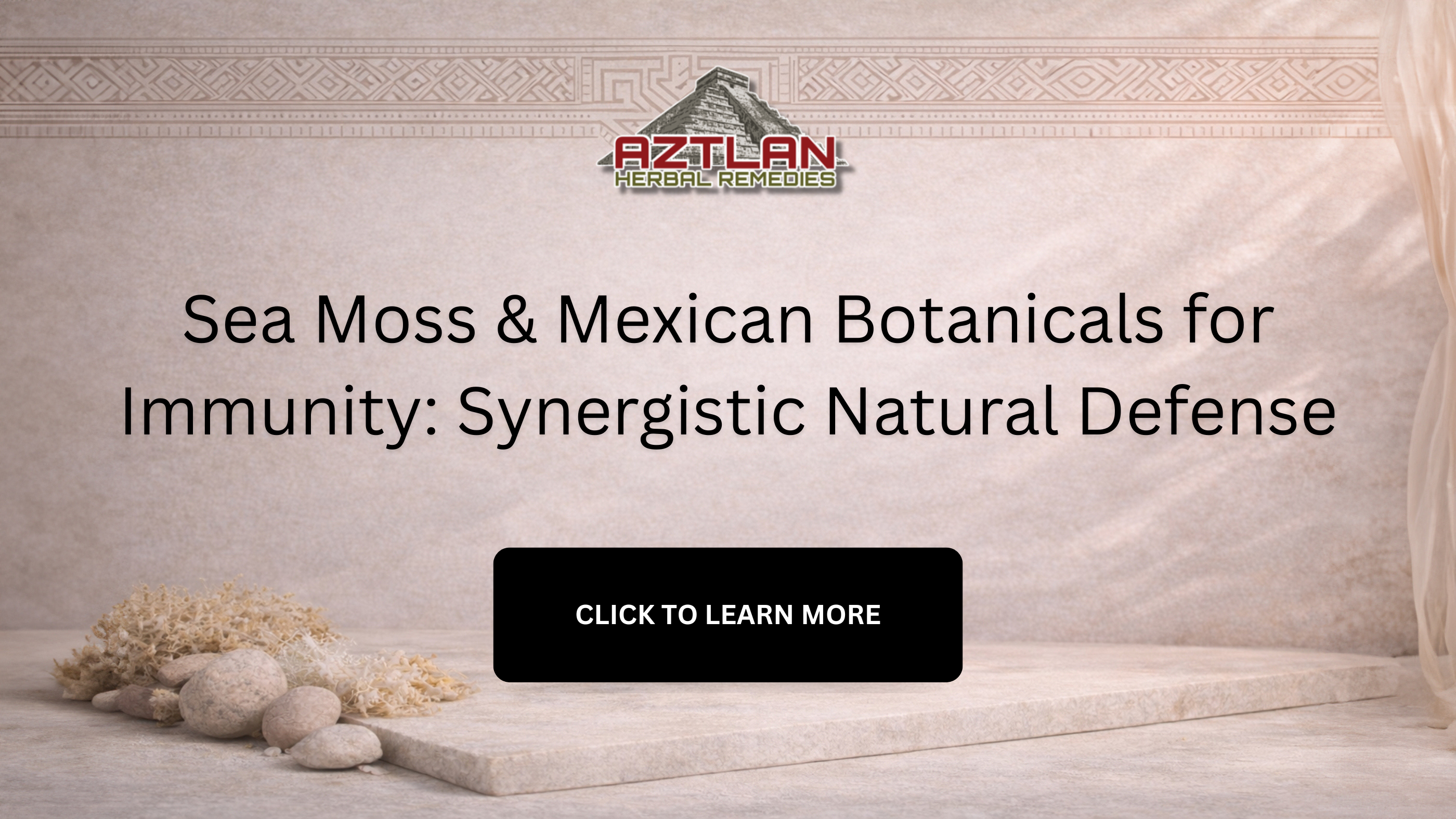 How to Prepare Sea Moss the Traditional Mexican Way: Gel, Smoothies ...