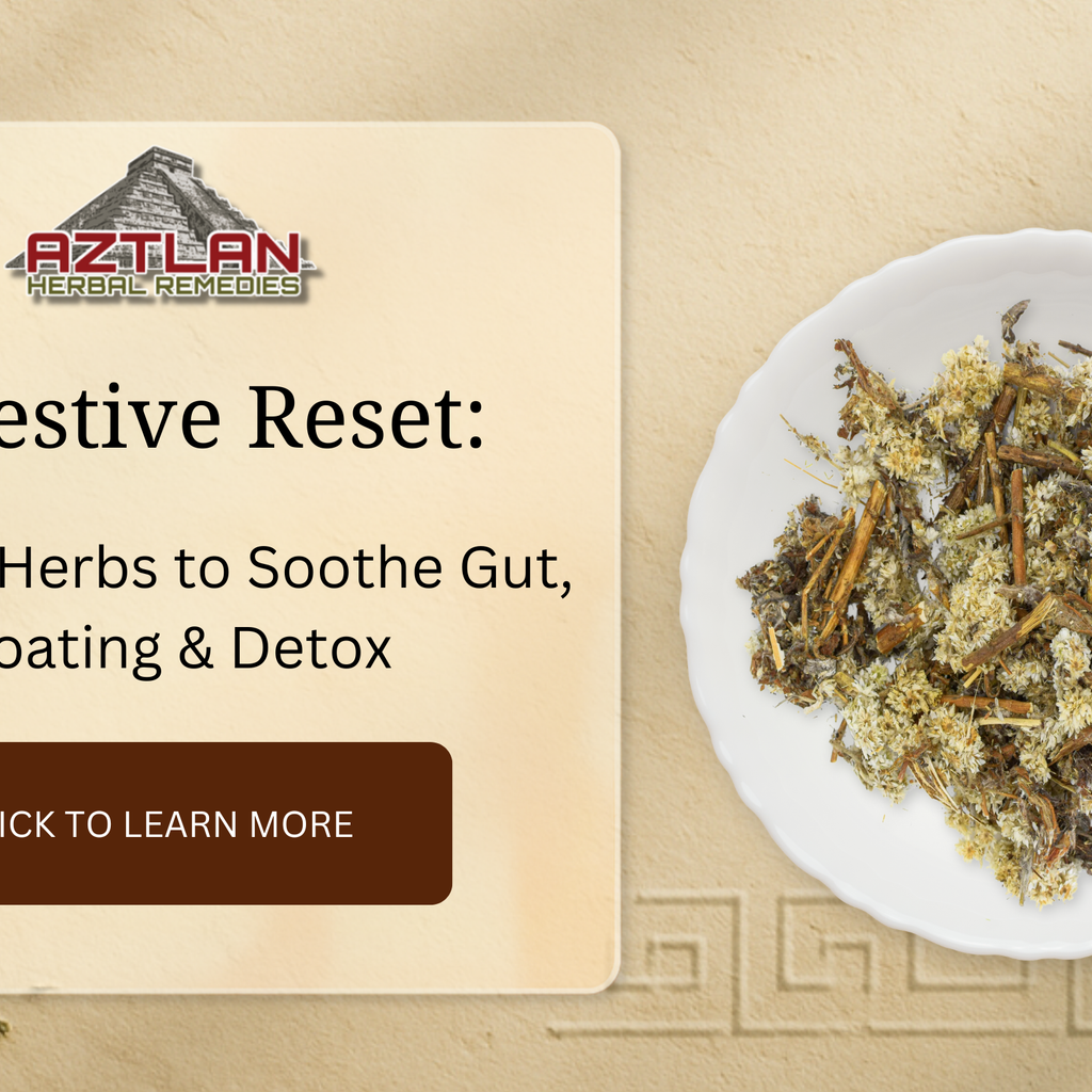 Digestive Reset: Traditional Mexican Herbs to Soothe Gut, Bloating & D ...