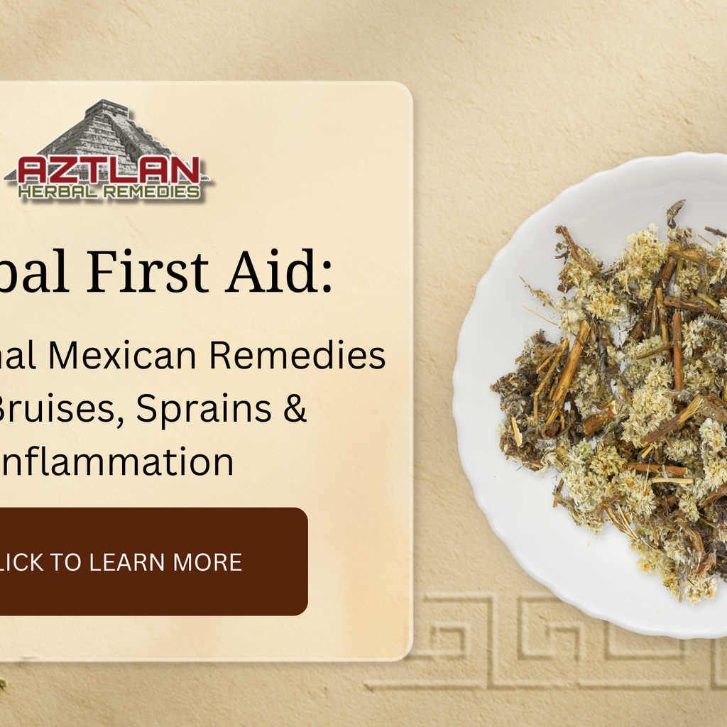 Herbal First Aid: Traditional Mexican Remedies for Bruises, Sprains ...