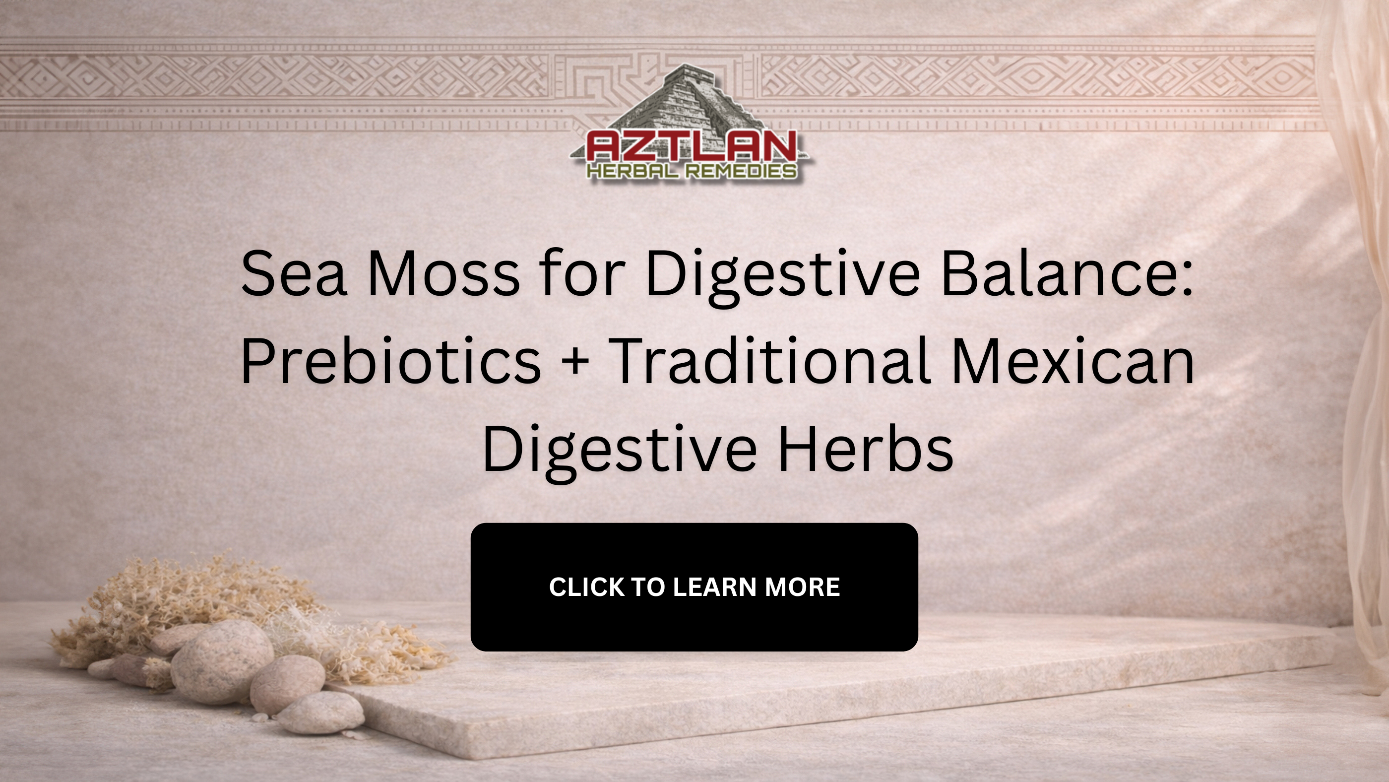 Sea Moss for Digestive Balance: Prebiotics + Traditional Mexican Diges ...