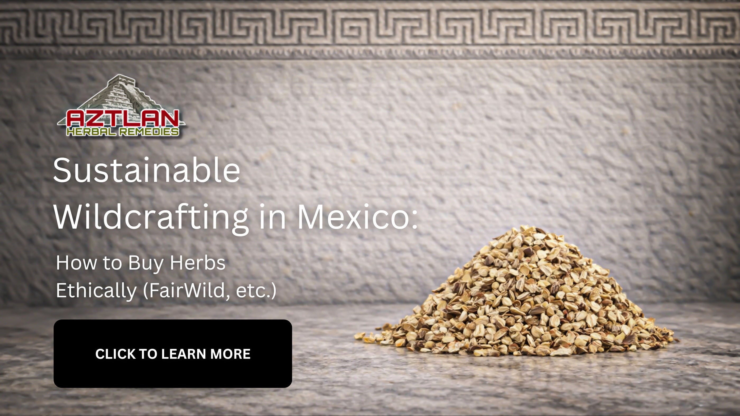 Sustainable Wildcrafting in Mexico: How to Buy Herbs Ethically (FairWi ...