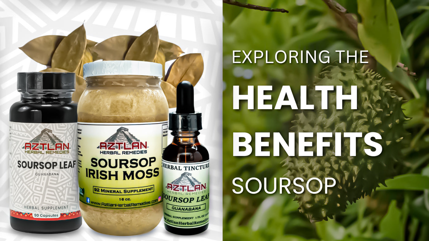 Discover the Wonders of Soursop – Aztlan Herbal Remedies