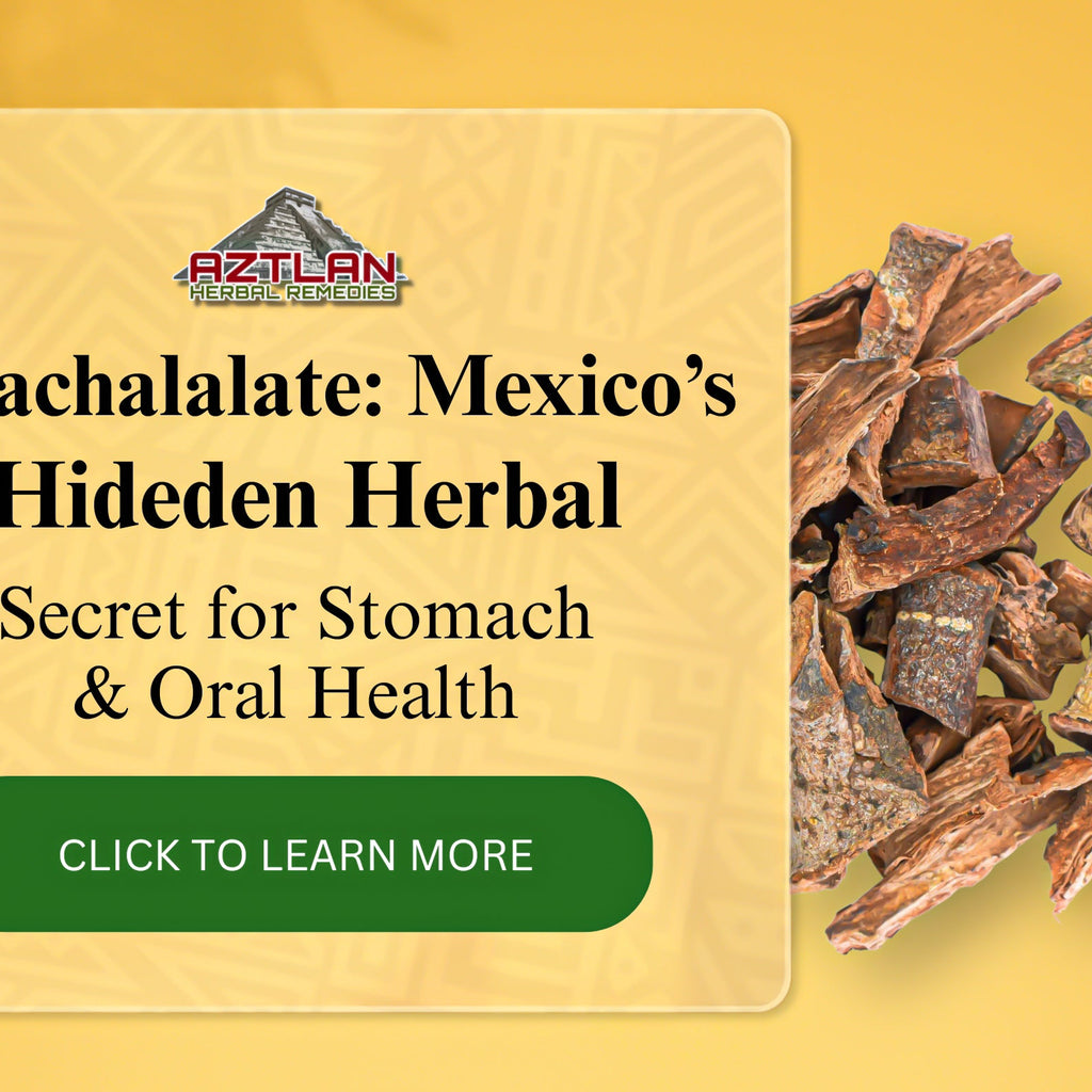 Cuachalalate: Mexican Herbal Remedy for Stomach & Oral Health | Aztlan ...
