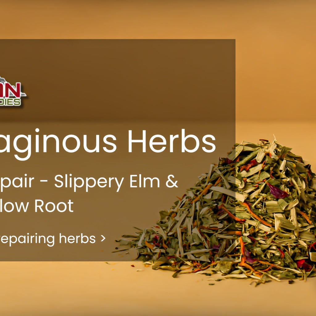 Mucilaginous Herbs for Gut Repair: Slippery Elm & Marshmallow Root ...