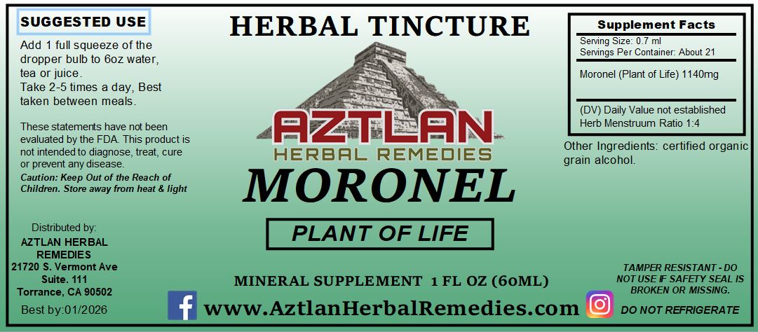 Moronel Tincture 1oz – Aztlan Herbal Remedies